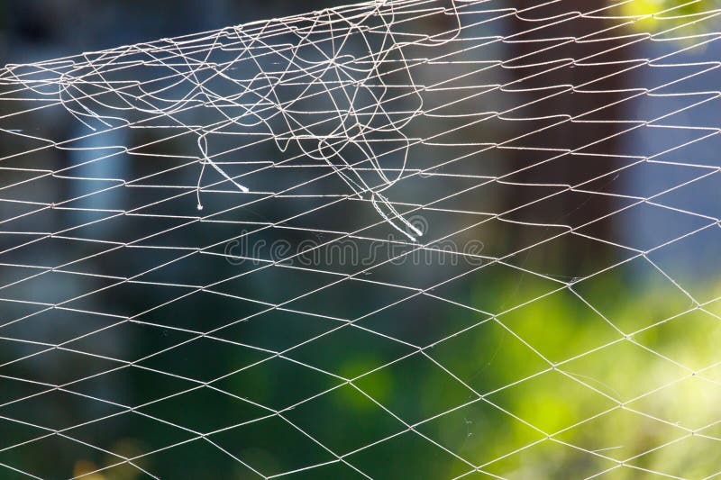 Woven Net Against the Backdrop of Nature in Summer Stock Photo - Image ...