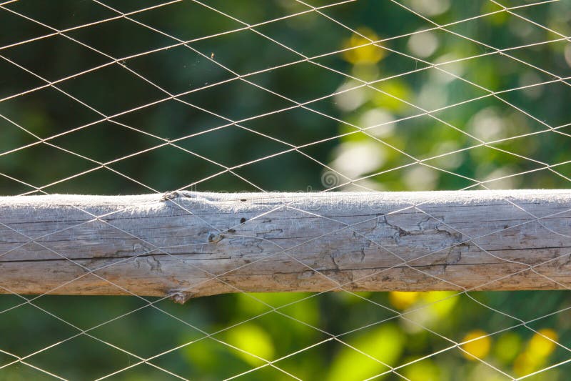 Woven Net Against the Backdrop of Nature in Summer Stock Image - Image ...