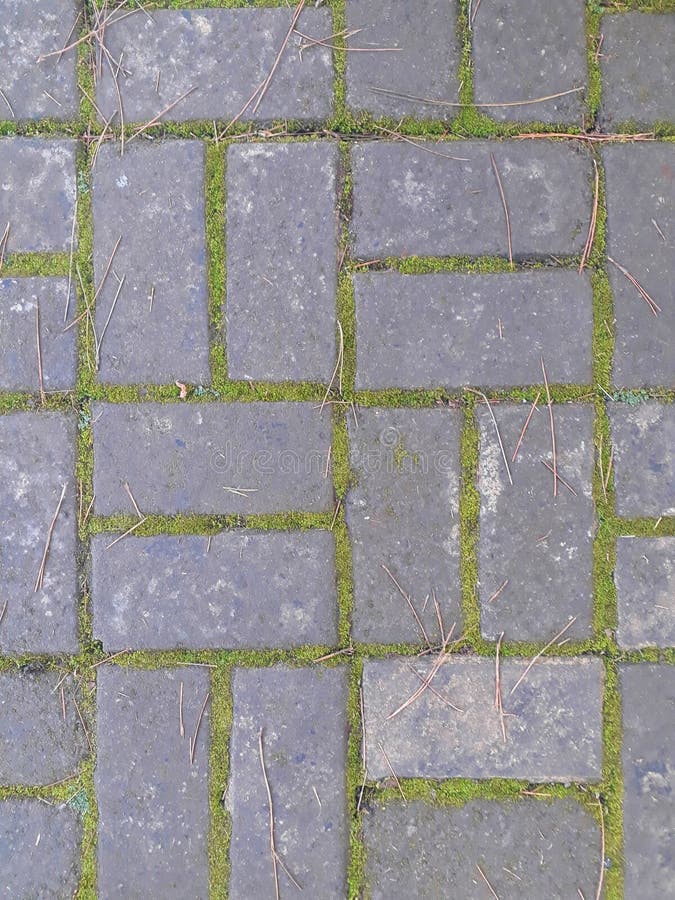 Woven Paving Motifs for Roads Installed in Protected Forests Stock ...