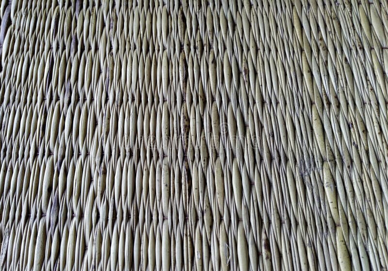 Woven reed mat surface stock image. Image of fibers - 198942901
