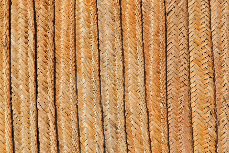 Reed wall background stock image. Image of wall, tradition - 141547337
