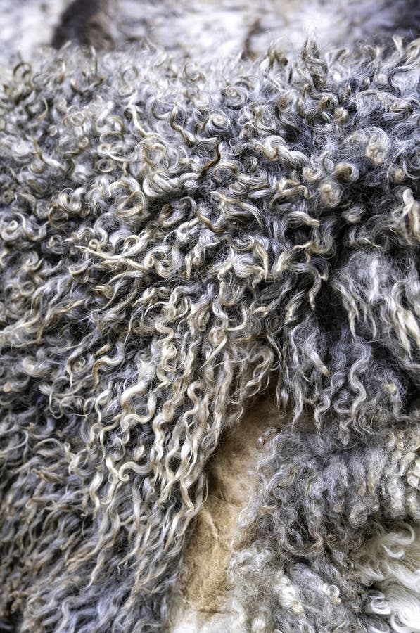 Woven sheep wool stock photo. Image of craft, ball, carpet - 364399936