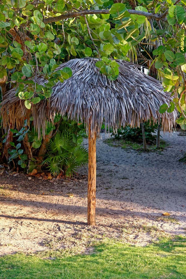 Woven straw beach umbrella stock image. Image of cuba - 161528967