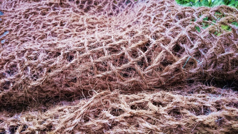 Native Mat Philippines Stock Photos - Free & Royalty-Free Stock Photos ...