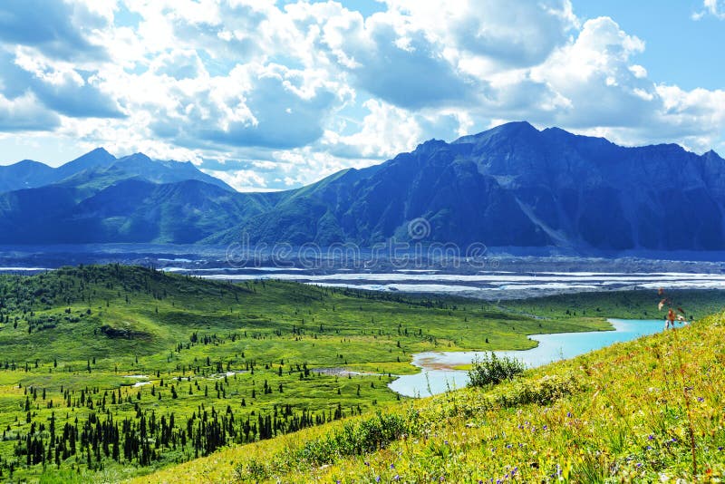 Wrangell St. Elias Alaska stock image. Image of alaska - 42315505