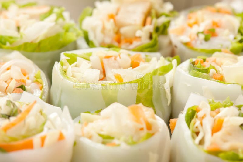 Wrap Vegetable Noodle in Row Stock Photo - Image of leaf, cuisine: 23068792