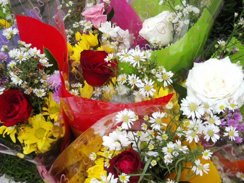 Wrapped Bouquets of Flowers Stock Image - Image of wrapped, sale: 79771515