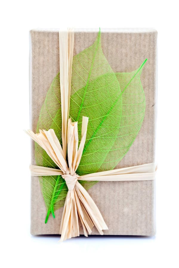 Wrapped box stock image. Image of leaf, surprise, gray - 17475645