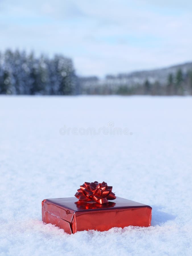 Wrapped Christmas Package stock image. Image of single - 37074755