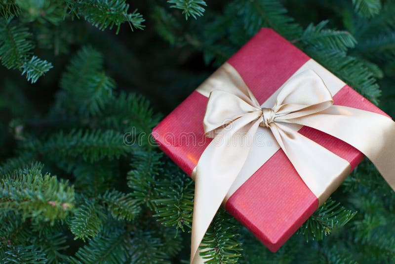 Wrapped present stock image. Image of traditional, close - 53438619