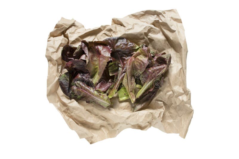 Wrapped Red Lettuce Isolated Stock Photo - Image of leaf, paper: 199011918