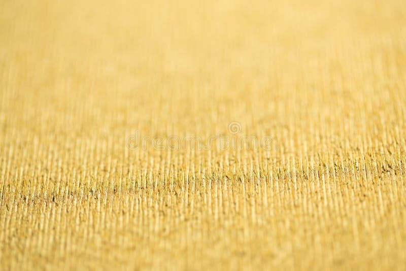 Wrapping paper texture stock image. Image of texture - 37536063