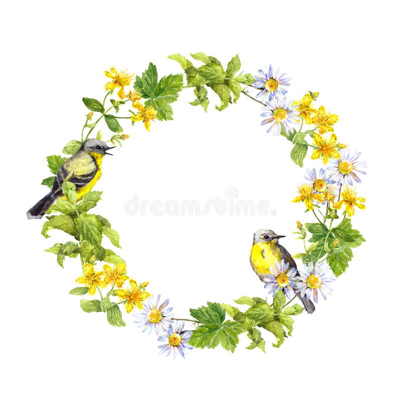 Wreath Border - Spring Flowers, Wild Herbs, Grass. Watercolor Circle ...