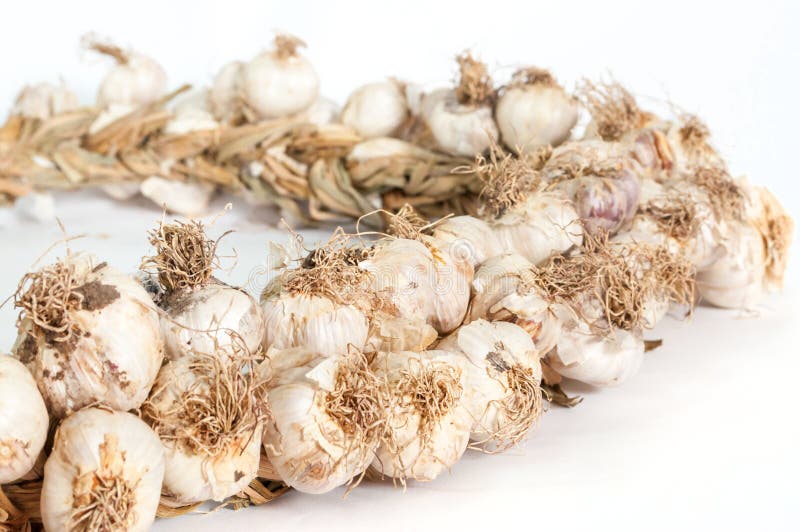 Wreath of garlic stock image. Image of fresh, organic - 62458491
