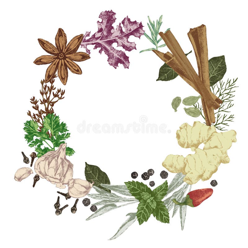 Colorful Spices Border for Cooking Designs Stock Vector - Illustration ...