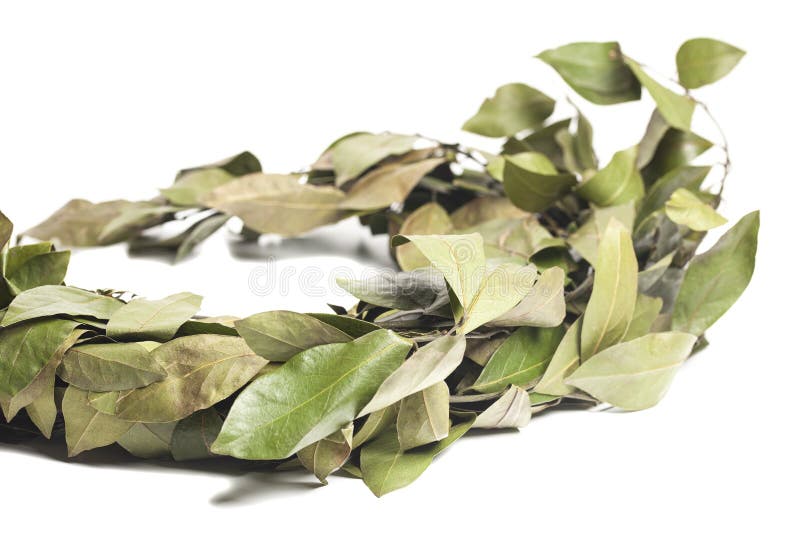 Wreath of Laurel Leaves Isolated on White. Dried Laurel Leaf Seasoning ... Wreath of Laurel Leaves Isolated on White. Dried Laurel Leaf Seasoning ...