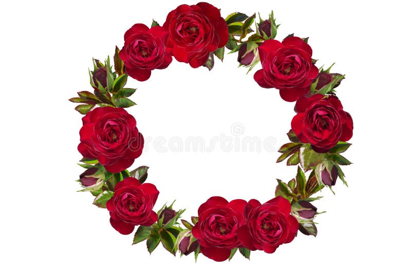 Wreath of Red Roses Isolated on White Background. Stock Photo - Image ...