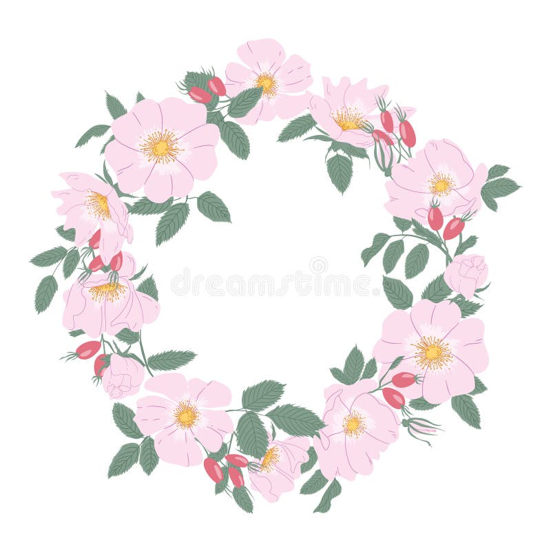 Wreath of Rosehip Flowers. a Frame of Roses. Pink Flowers in a Circle ...