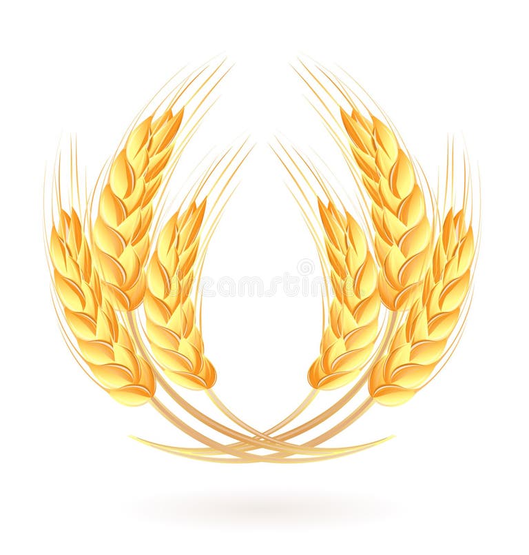 Wheat Stem Stock Illustrations – 11,477 Wheat Stem Stock Illustrations ...