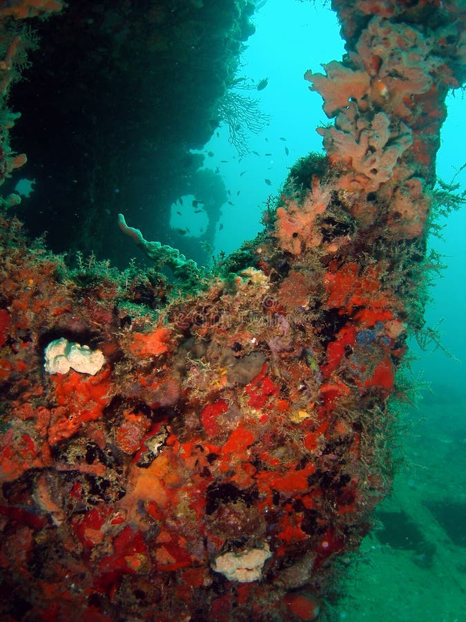Wreck stock image. Image of oceanic, wreck, beach, natural - 14829585