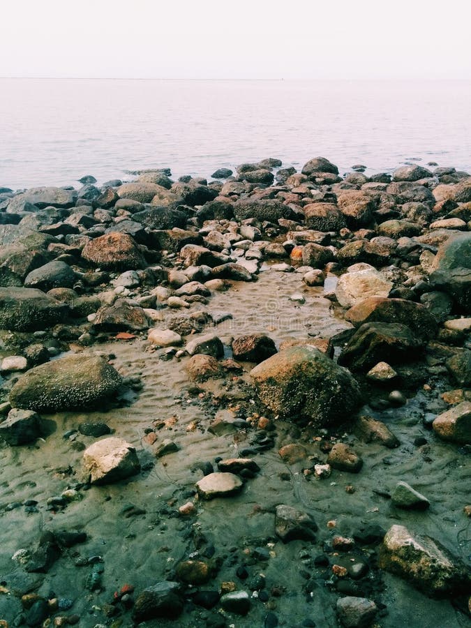 Wreck beach stock image. Image of dusk, beach, vancouver - 55788045