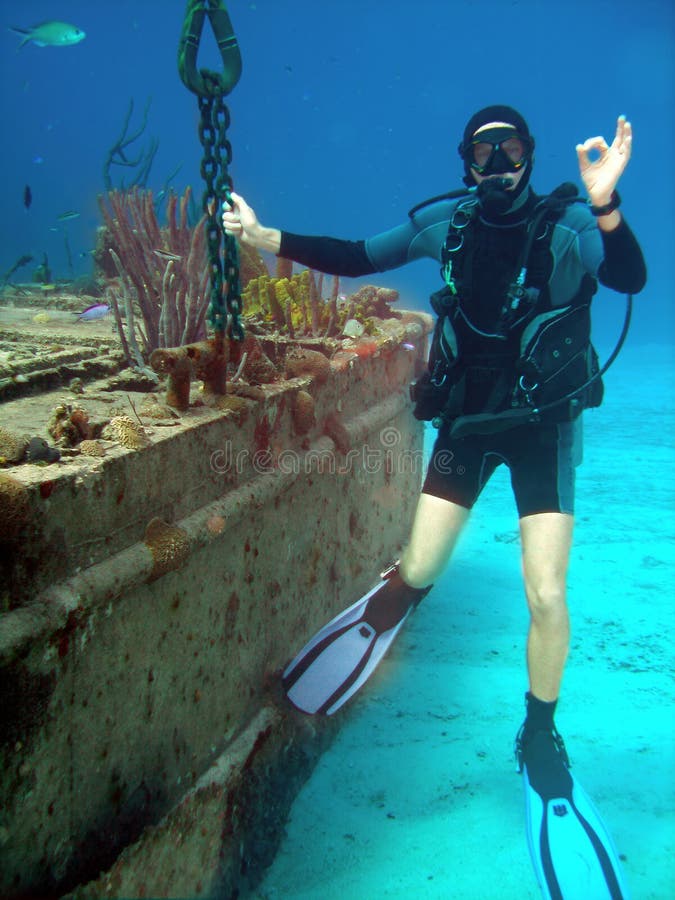 Mermaid and diver stock photo. Image of saltwater, diving - 7768958