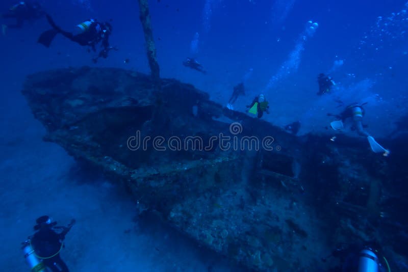 Wreck diving stock photo. Image of animal, bottom, reef - 73090988