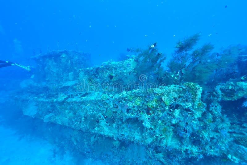 Wreck diving stock photo. Image of summer, blue, relaxation - 73091492