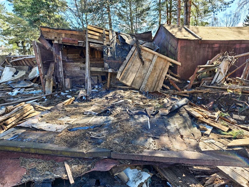 Wreckage of a Dilapidated Structure Amidst Overgrown Vegetation and ...