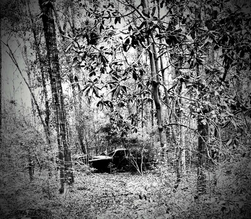 Wrecked Car Hidden between the Trees To Rest in Peace Stock Image ...