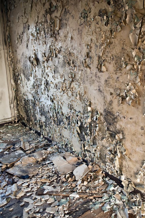 Water leaking damaged home stock image. Image of mildew - 8909741