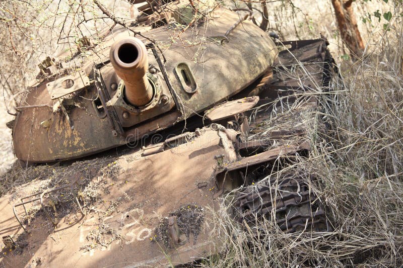 A Wrecked Soviet Era Tank Sits Rusting in the Bushes from the Civil War ...