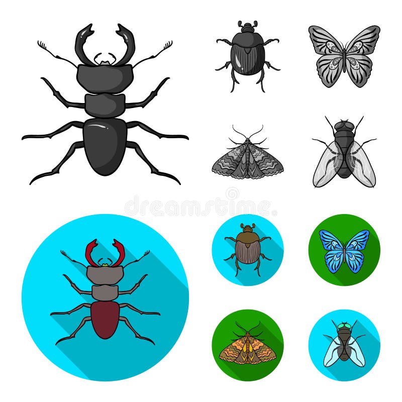 Wrecker, Parasite, Nature, Butterfly .Insects Set Collection Icons in ... Wrecker, Parasite, Nature, Butterfly .Insects Set Collection Icons in ...