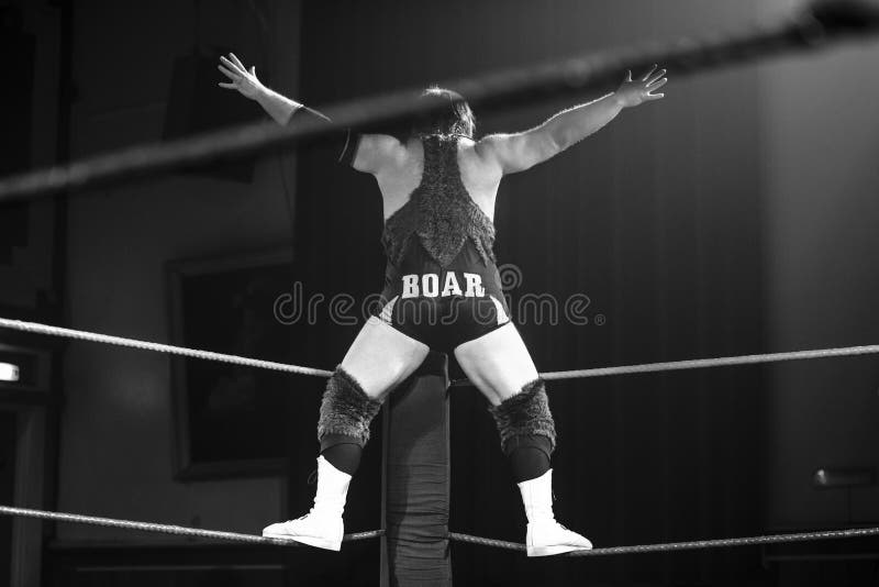 Wrestlers Shaking Stock Photos - Free & Royalty-Free Stock Photos from ...