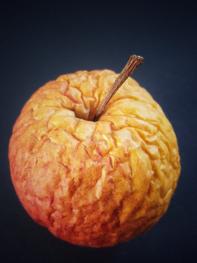 Wrinkled apple stock image. Image of view, concept, close - 53276279