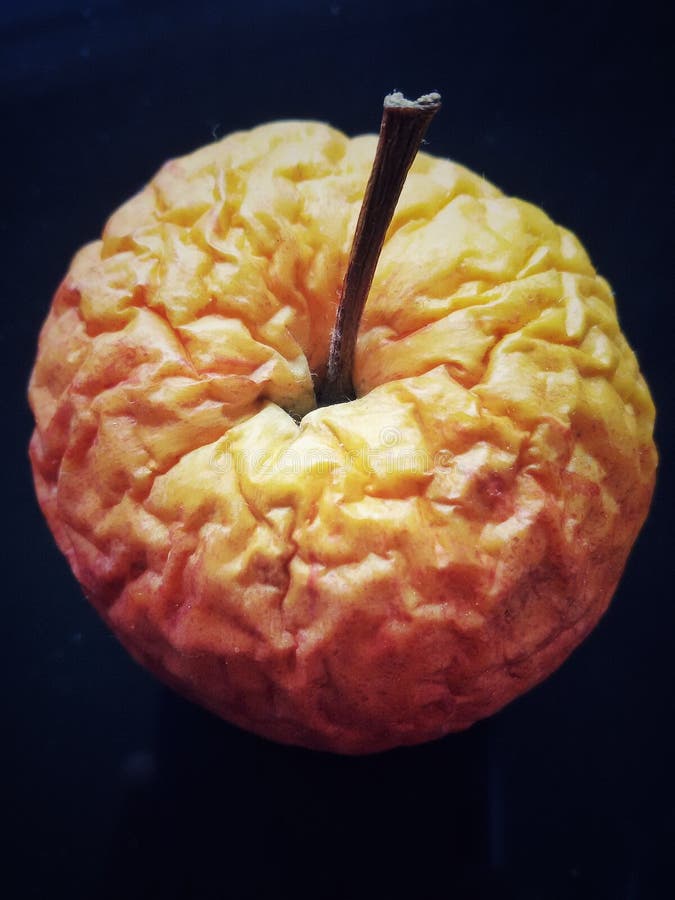 Wrinkled apple stock image. Image of view, corruption - 53280275