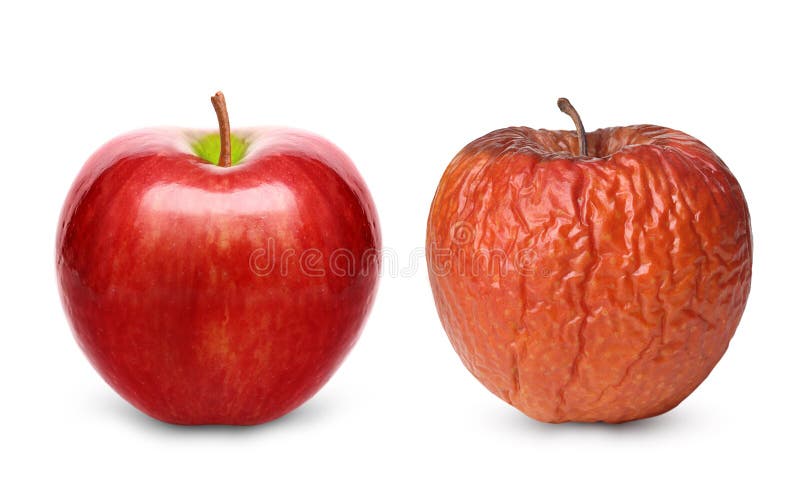 Rotten and Fresh Apple Isolated Stock Image - Image of fruit, metaphor ...