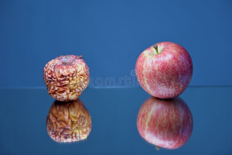 Wrinkled and Fresh Beautiful Apples on a Mirror Surface with Reflection ...
