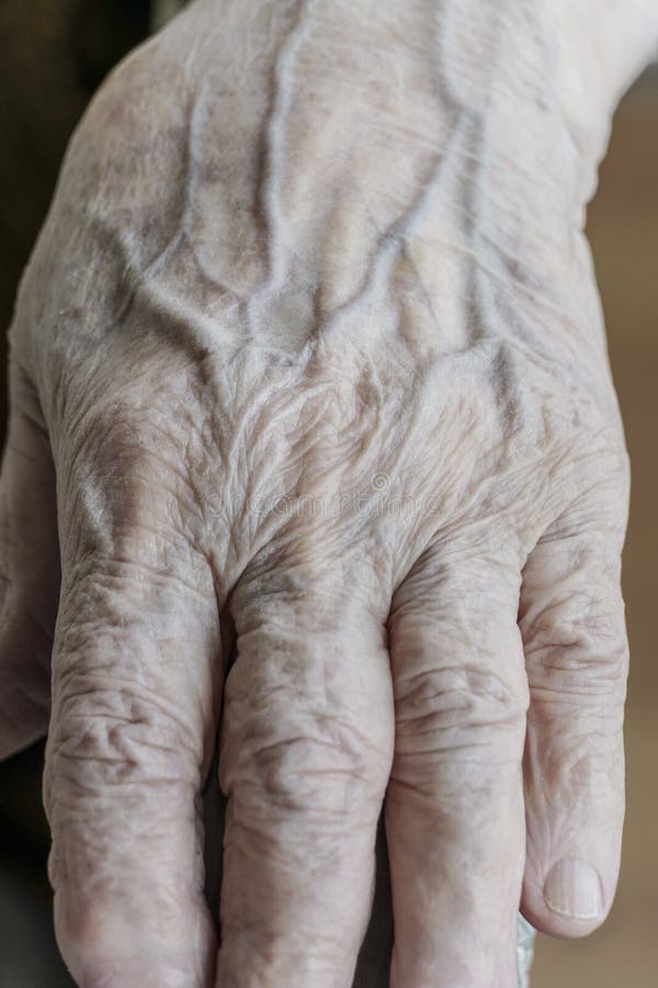 Wrinkled Hand of a Senior Person Stock Photo - Image of aging, skin ...