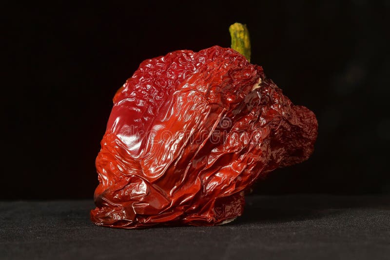 685 Pepper Red Wrinkled Stock Photos - Free & Royalty-Free Stock Photos ...