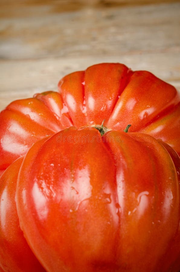 Wrinkled tomato stock photo. Image of decayed, wither - 6290602