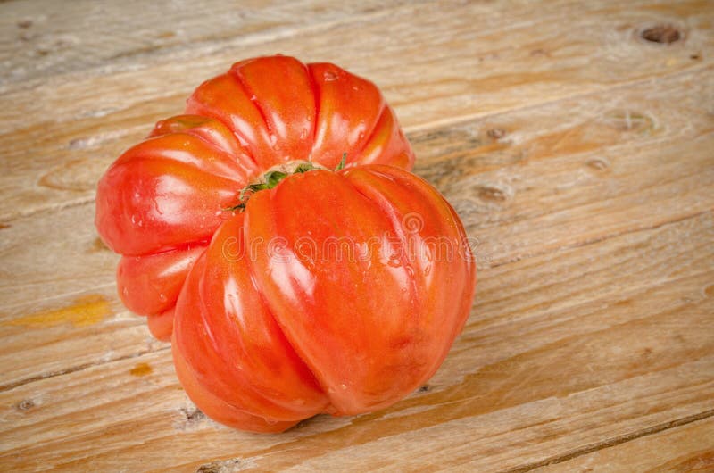 Wrinkled tomato stock photo. Image of decayed, wither - 6290602