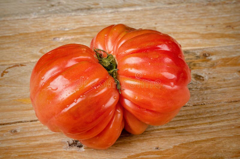 Wrinkled tomato stock image. Image of ingredient, tomato - 88536537