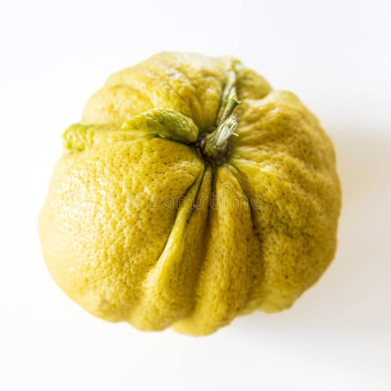 Wrinkled Yellow Citrus Fruit, Possibly a Citron, Stock Image - Image of ...