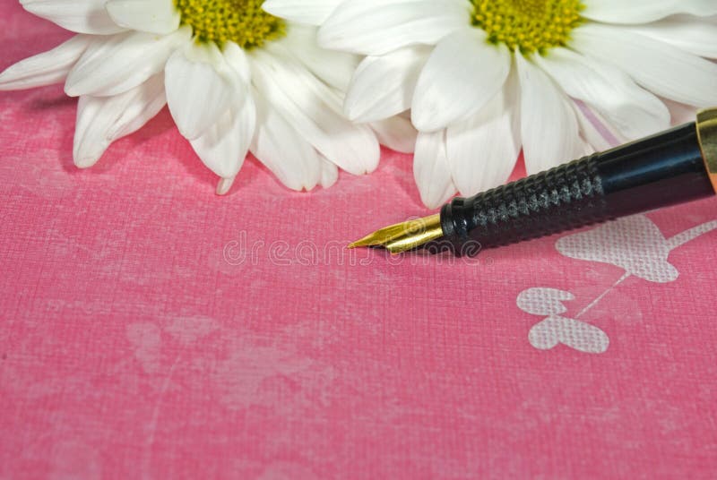 Write Here stock photo. Image of daisy, pink, pretty - 12526598