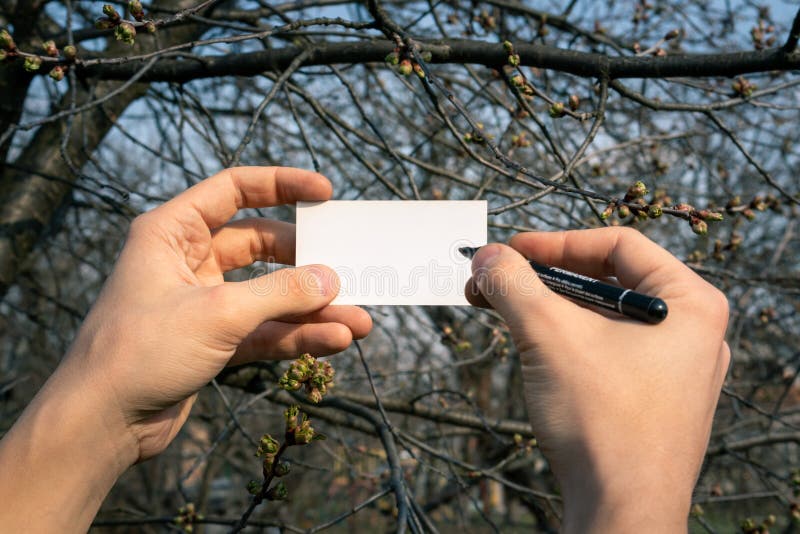 Red Marker Pen and Blank Drawing Circle Stock Photo - Image of ...