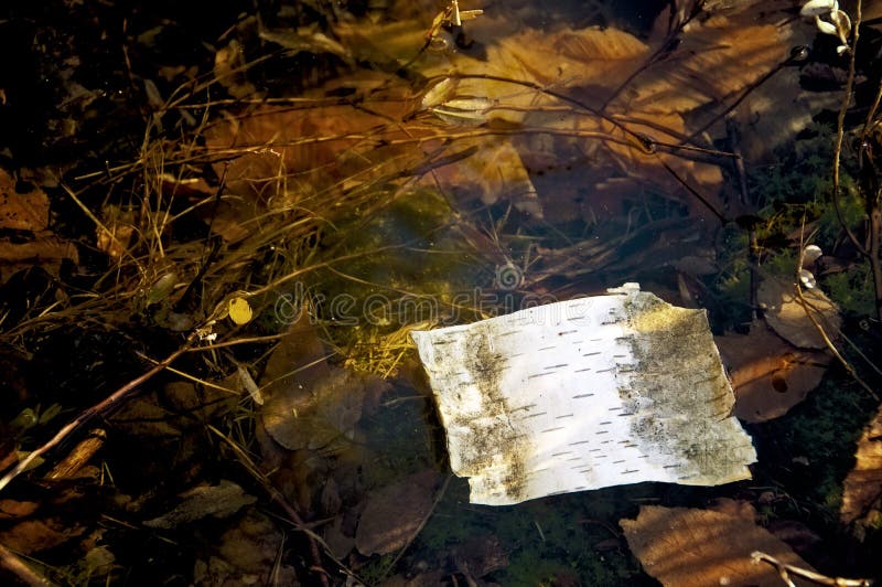 Write on Me stock illustration. Illustration of text - 19354950