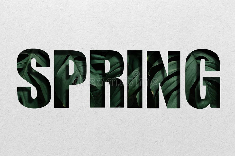 Write `` Spring `` from Letters with Flower Petals Stock Illustration ...