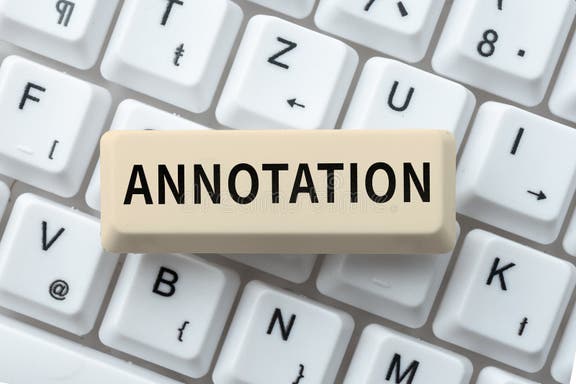 Conceptual Caption Annotation. Business Overview Note Added by Way of Comment or Explanation ...