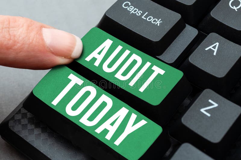 Writing Displaying Text Audit. Concept Meaning an Appraisal of Complete ... Writing Displaying Text Audit. Concept Meaning an Appraisal of Complete ...